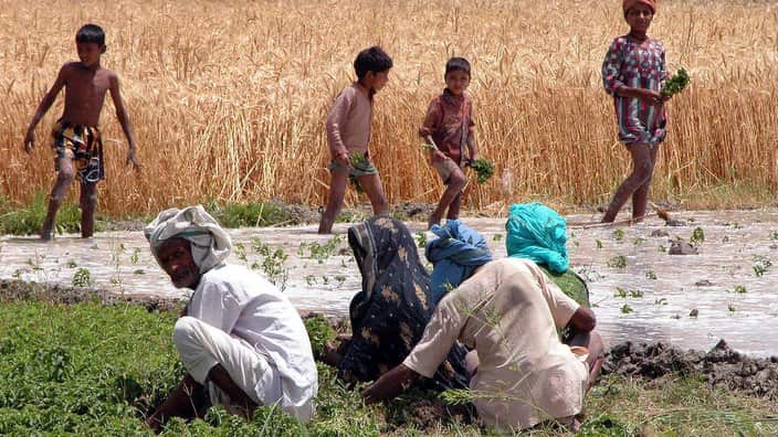 Australia passes a motion to support so-called 'low caste' Indians ...