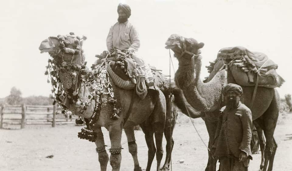 'Ships of the desert': Broken Hill pays tribute to cameleers who forged ...