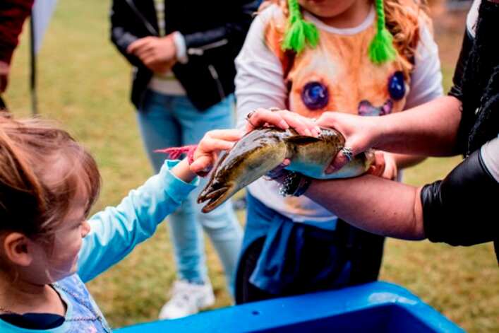 How do you prefer your Eel? | SBS NITV Radio