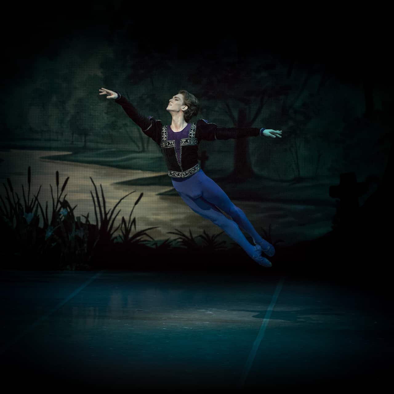 The spectacular Sydney International Ballet Gala – Ballet’s world stars ...