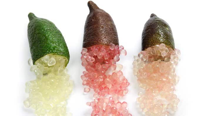 Finger limes taste sensational, but what makes them good for you? | SBS ...