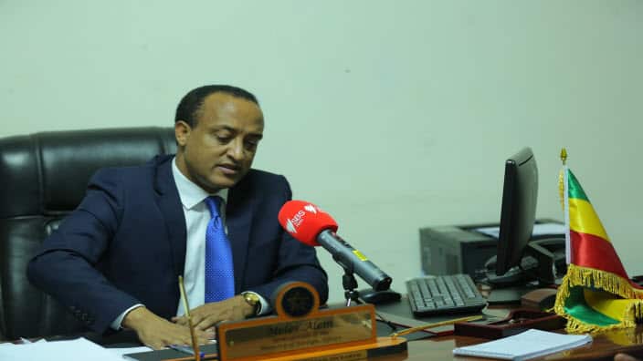 Meles Alem: Ethiopian Diaspora Agency | SBS Amharic