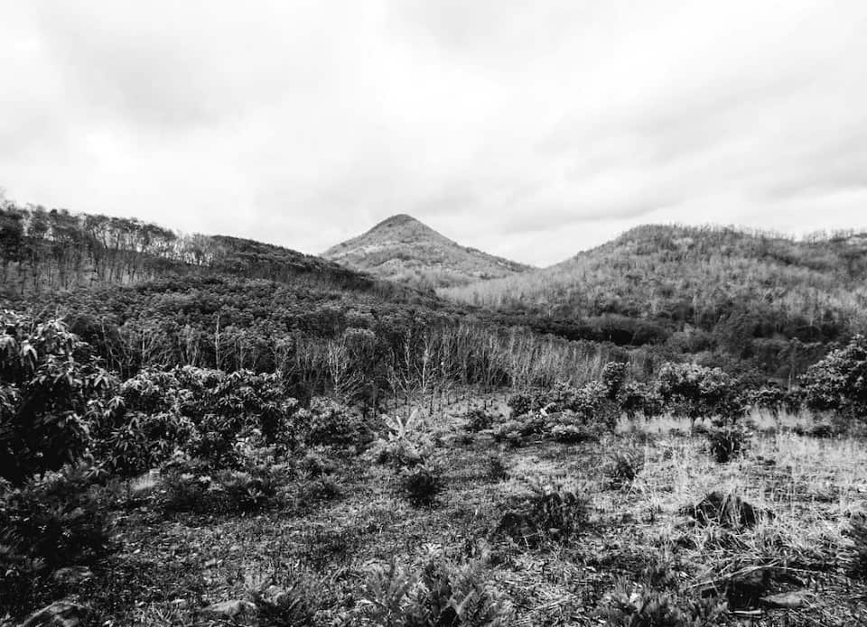 Hmong Australia refugee history art exhibition | SBS Hmong