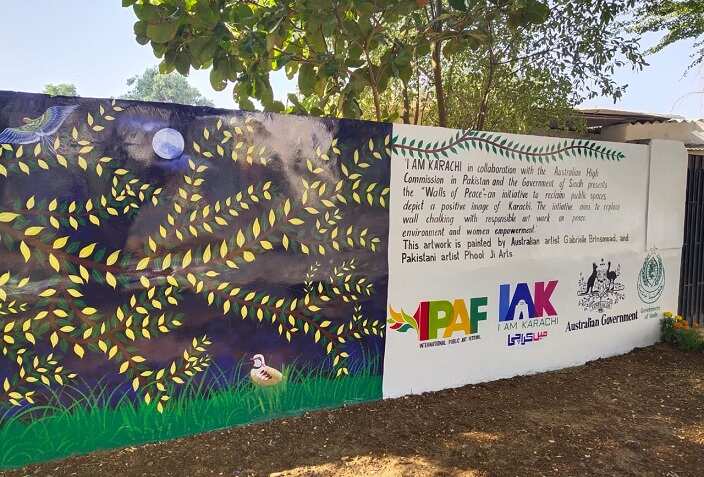 ‘Canvases of positivity’: Australian artist’s floral murals paint hope ...