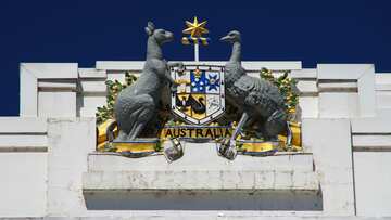 How government works in Australia | SBS English