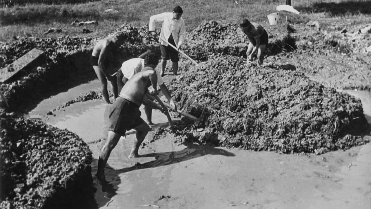 How Jane Malysiak went from surviving WWII to receiving Australia's ...