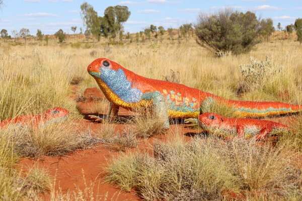 Indigenous rangers reclaim knowledge of native species while surveying ...