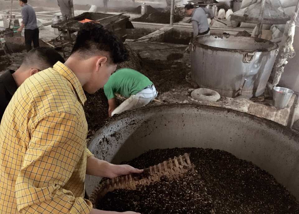 Will Australia say cheers to the world’s most consumed spirit? | SBS ...