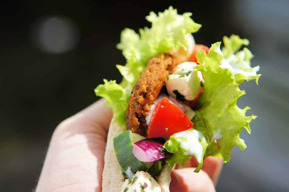 Australia's edible insects: Are they really the food of the future ...