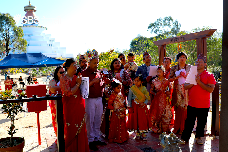 The story of Ihi: Why girls from this community are ‘marrying’ a fruit ...