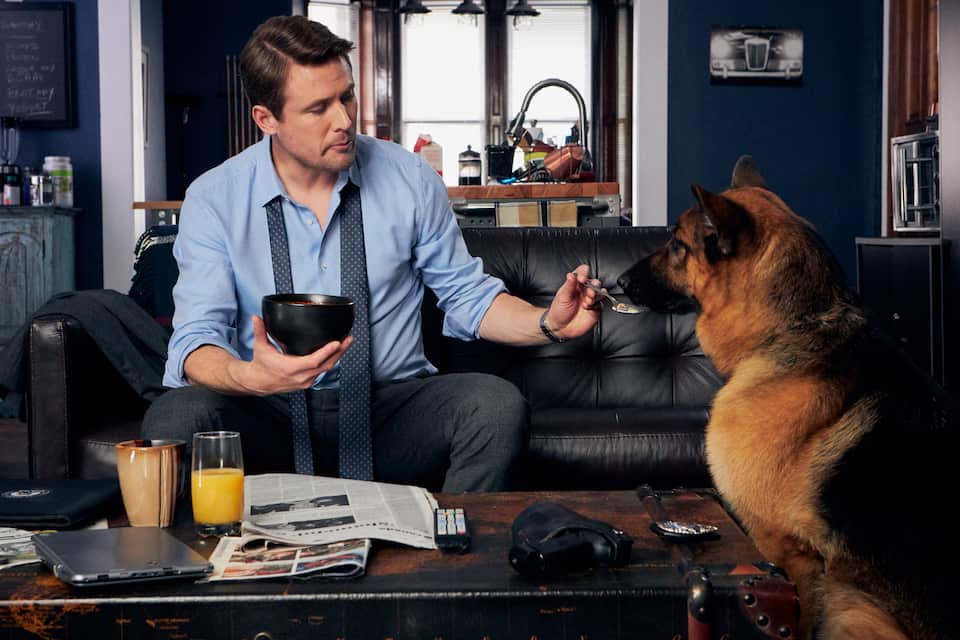 They’re putting the bite on crime: meet ‘Hudson & Rex’ | SBS What's On