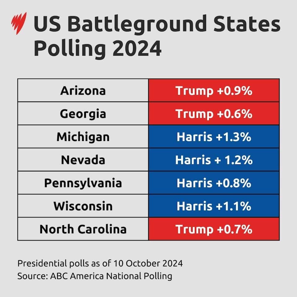 2024 US Elections: Your Questions Answered | SBS News