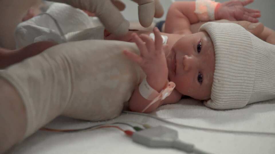 Uterus transplant: This woman gave birth with her mother's womb | SBS ...