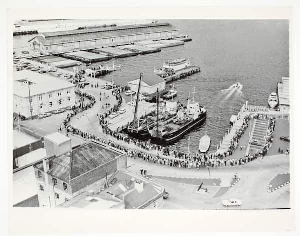 Baltimore bridge collapse bring back memories of Tasman Bridge disaster ...