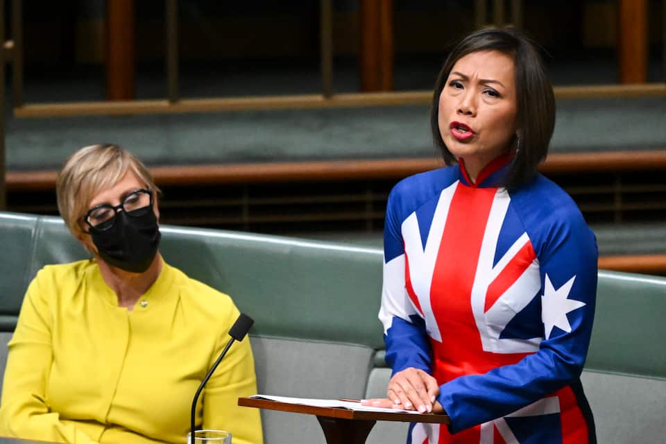 'This dress represents our Australia': Why Dai Le wore the áo dài for ...
